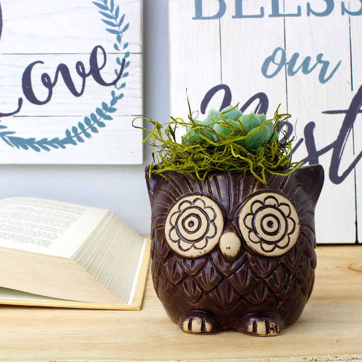 Brown Ceramic Owl Planter Pot with Cacti, Succulents and Small Plants ...